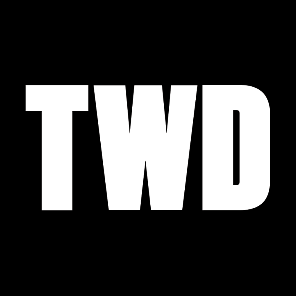 The Walking Dead Logo Embroidered Hat